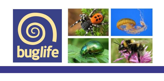 BugLife – One Health Breakthrough Partnership